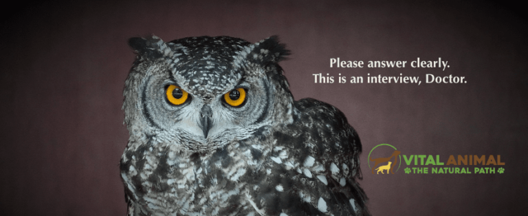 Podcast - Vital Animal® § The Natural Path